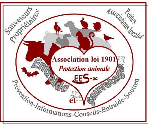 Association Entraide et Sauvetage protection animale – Corbeil-Essonnes