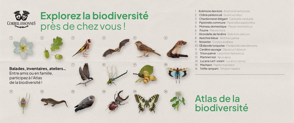 Atlas de la biodiversité de Corbeil-Essonnes – Corbeil-Essonnes